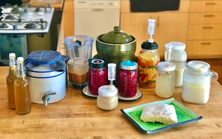 Fermentation Recipes | Fermentation Explained Simply and Deliciously!