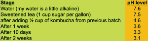pH level for Kombucha - What is the correct level? | Fermentation Recipe