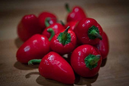 Firecracker Pepper Garlic Hot Sauce | Fermentation Recipe